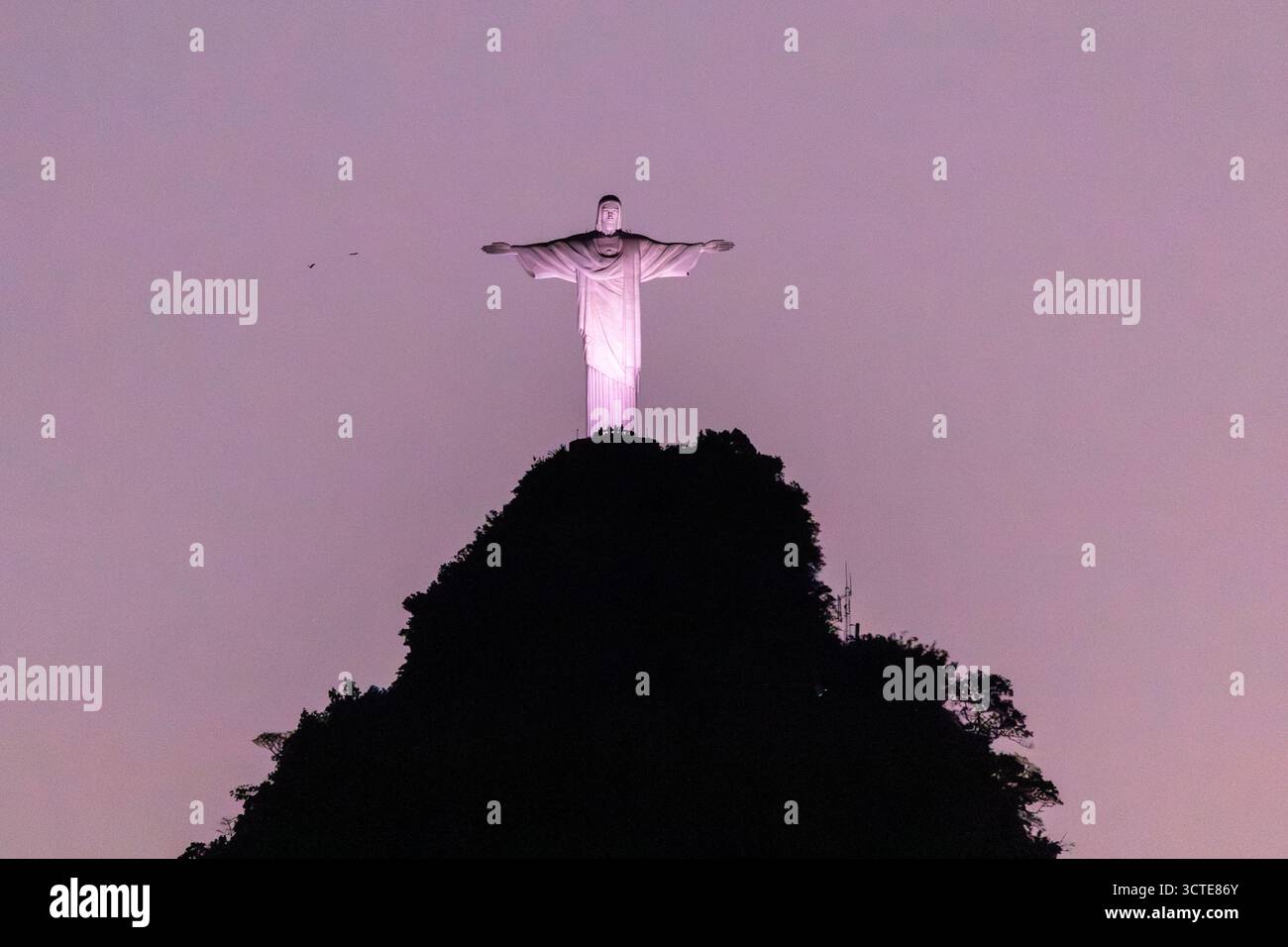 Christ the Redeemer in Rio de Janeiro, Brazil - July 10, 2025: details ...