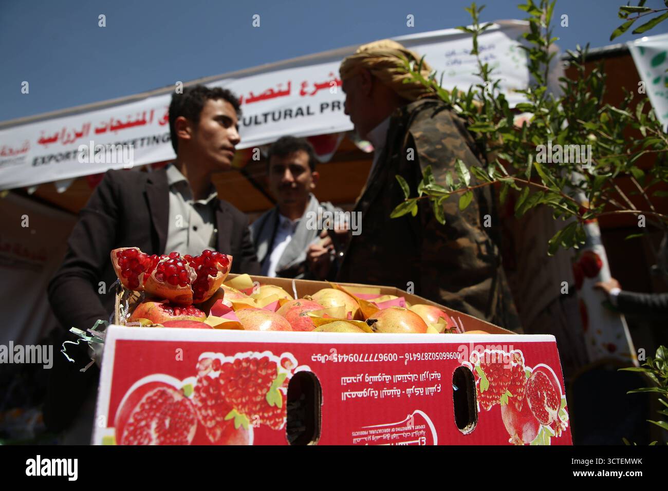 Fruit fair held in Sana a to boost local production Visitor shop for ...