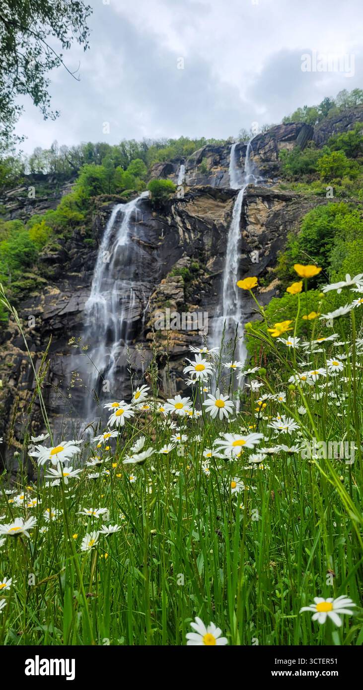 Acquafraggia waterfall in bregaglia hi-res stock photography and images ...
