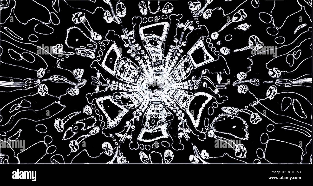 A detailed and complex design featuring intertwining floral shapes and ...