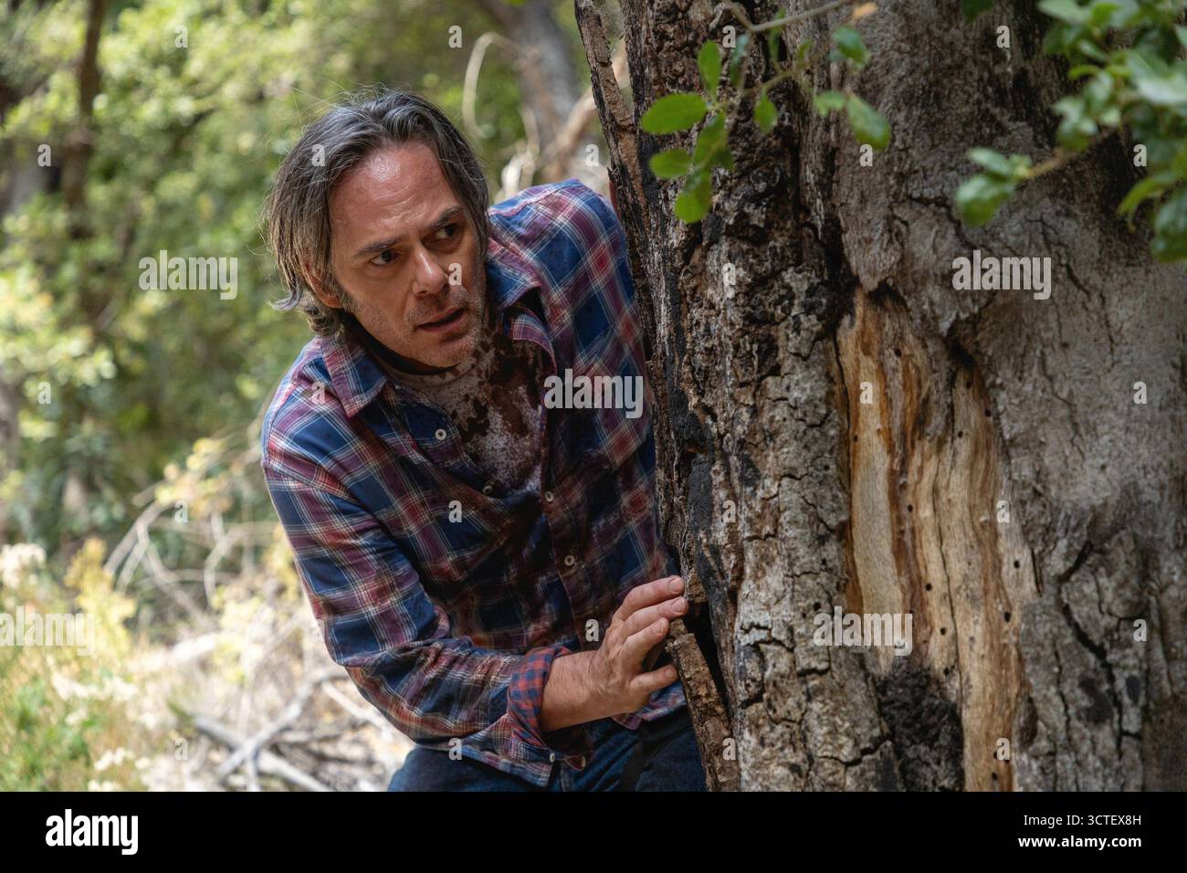 Billy burke as neil morris hi-res stock photography and images - Alamy