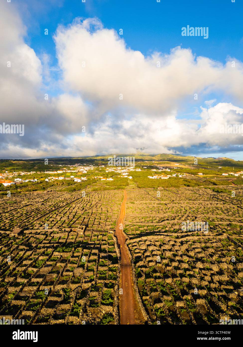 Basalt Stone Walls and Vineyards on Pico Island. Azores. Portugal ...