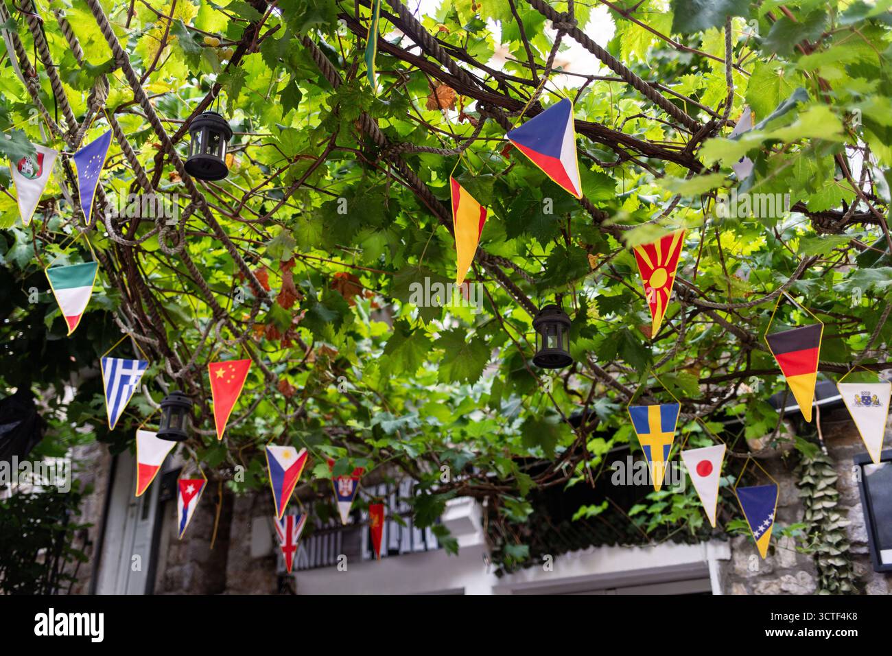 International Flag Garland Decor Under Green Grapevine Trellis Stock ...