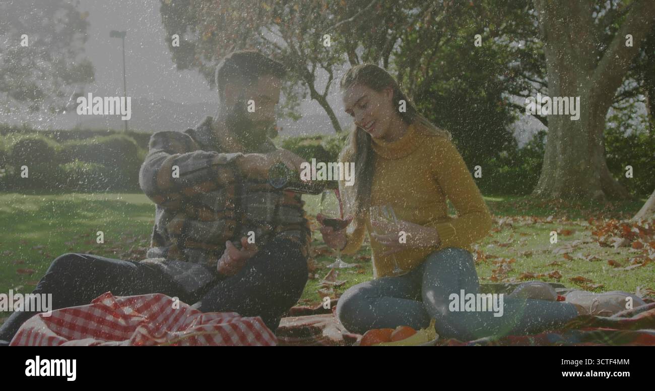 Pouring red wine couple sharing picnic on checkered blanket at park ...