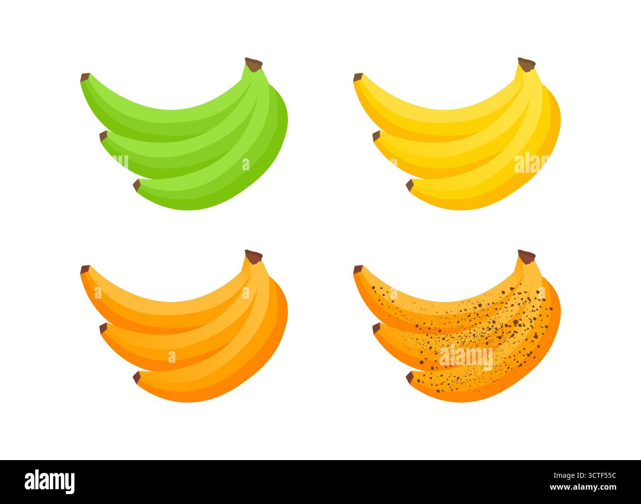 Showing bunch Stock Vector Images - Alamy