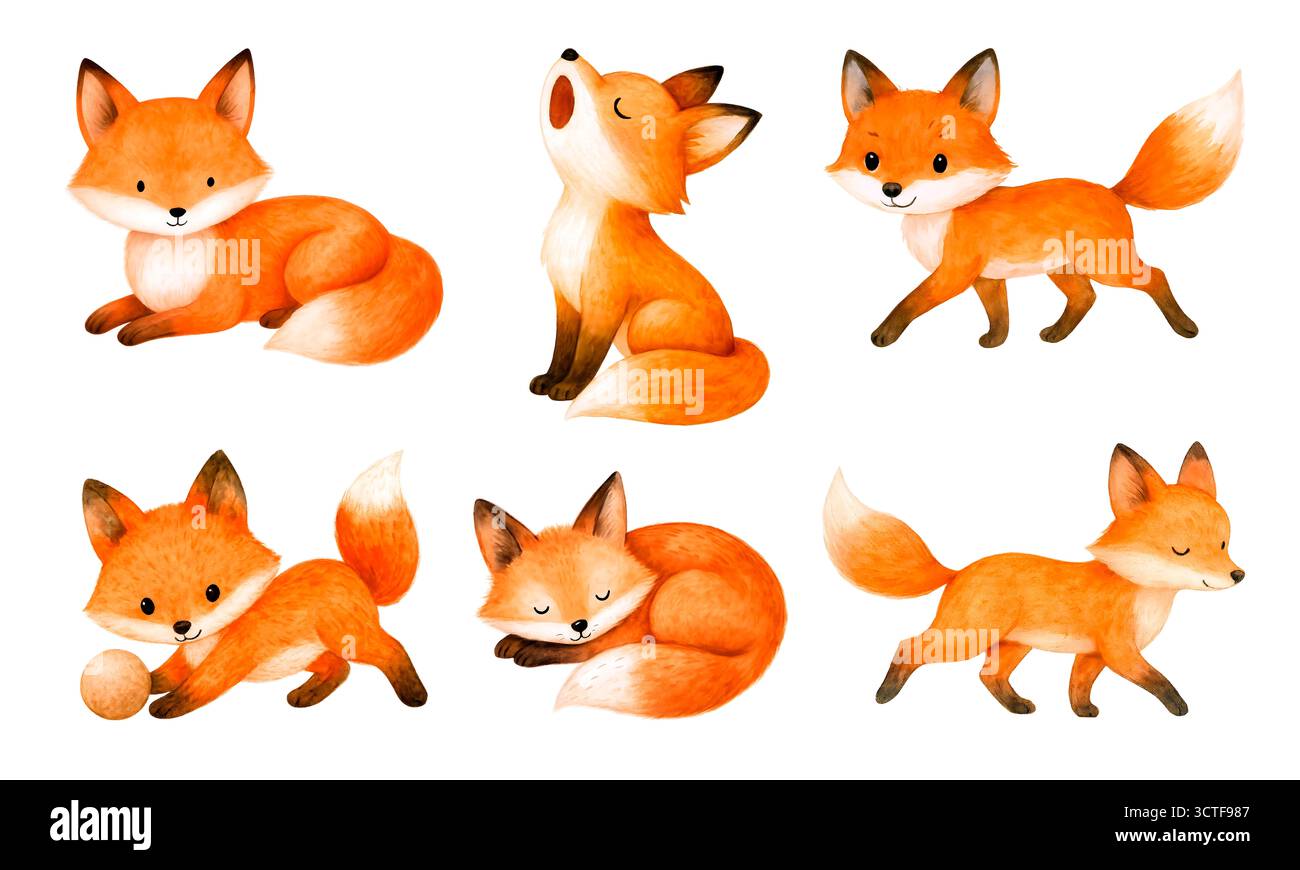 Watercolor Fox Clipart Set – Cute Woodland Foxes in Orange and Gray ...