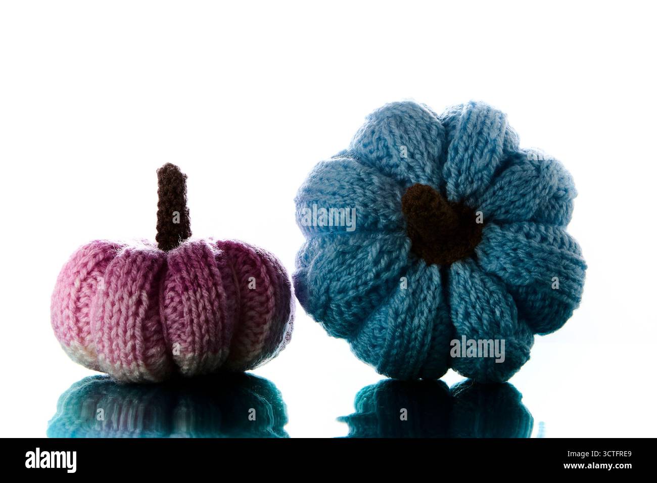 Pink background pumpkins Cut Out Stock Images & Pictures - Alamy