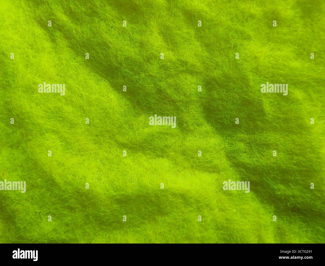 Wrinkled and Textured Green Non-Woven Fabric Close-Up with Soft Fuzz ...