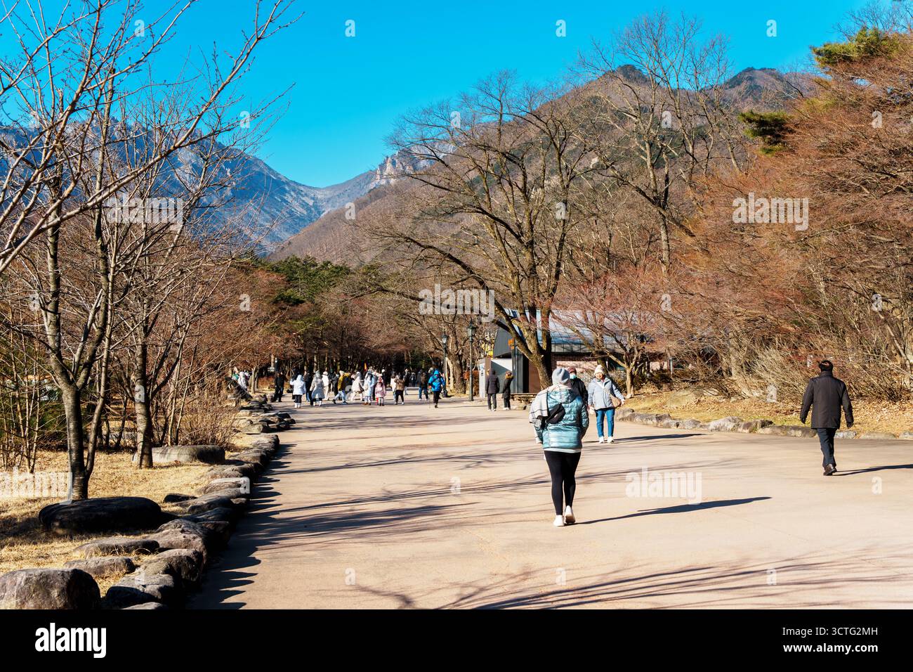 Sokcho, South Korea - Dec 27, 2024: Tourists stroll along a scenic ...