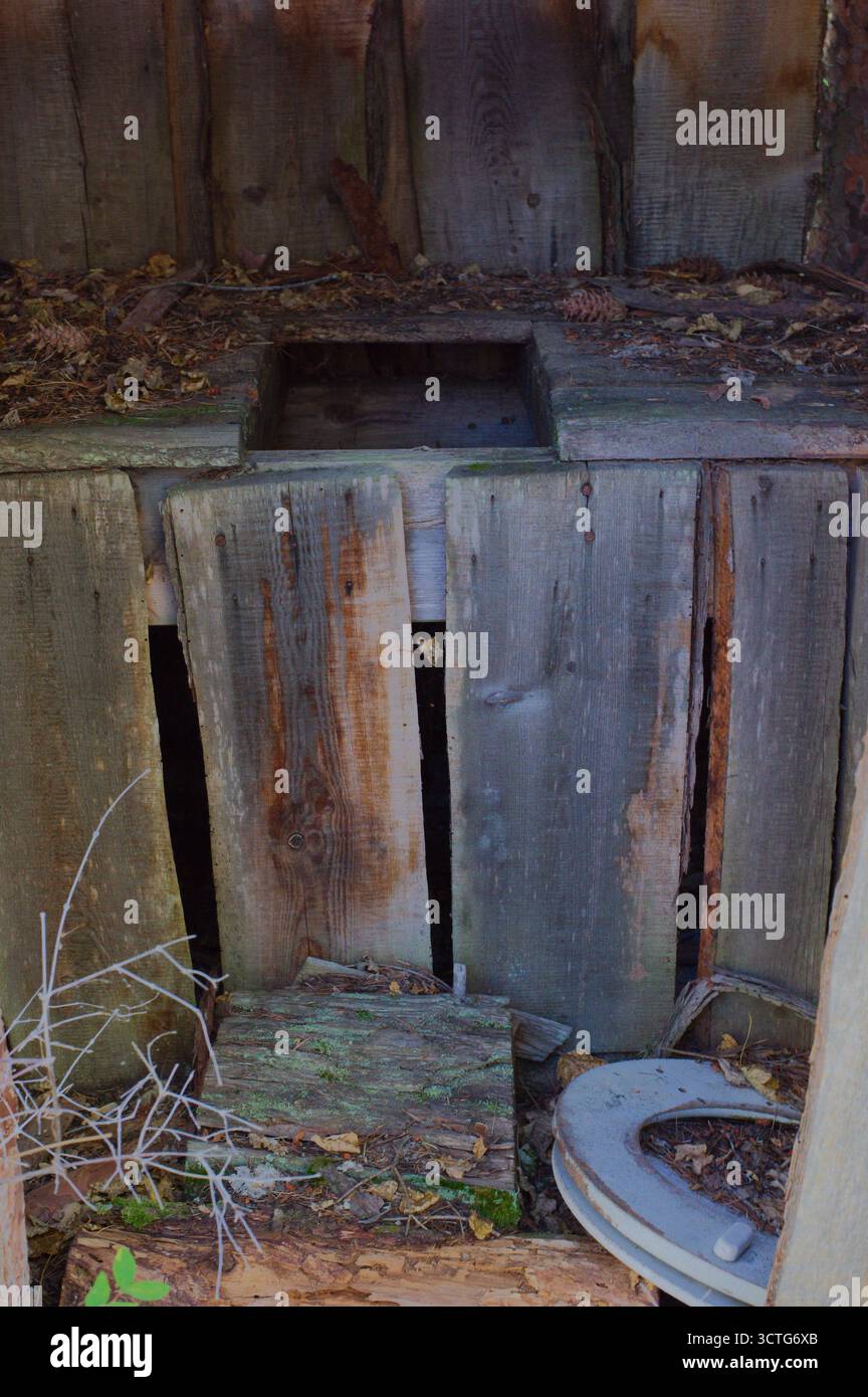 Toilet in hollow tree hi-res stock photography and images - Alamy