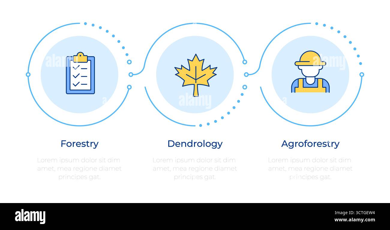 Forest ecosystem research infographic 3 steps Stock Vector Image & Art ...