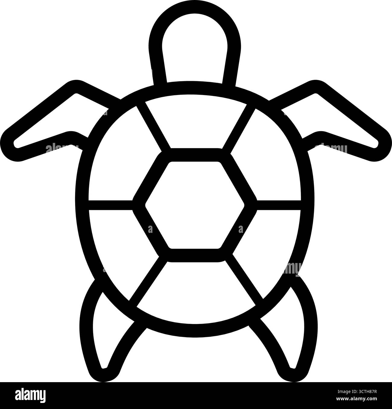 Tropical sea turtle Black and White Stock Photos & Images - Alamy