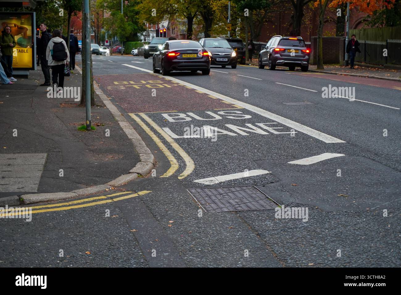 Belfast, United Kingdom 07/10/2025 Bus lane on Lisburn Road South ...