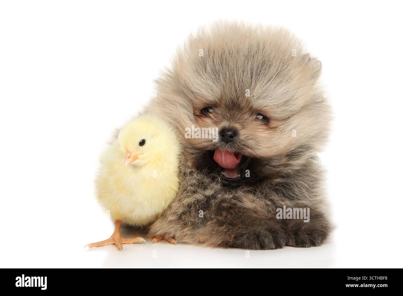 Indoor cozy scene Cut Out Stock Images & Pictures - Alamy