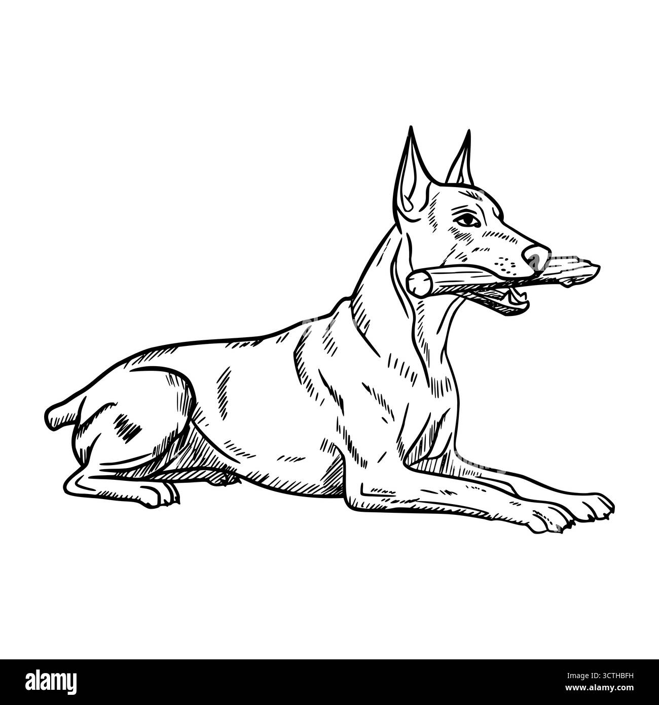 A short rest Cut Out Stock Images & Pictures - Alamy