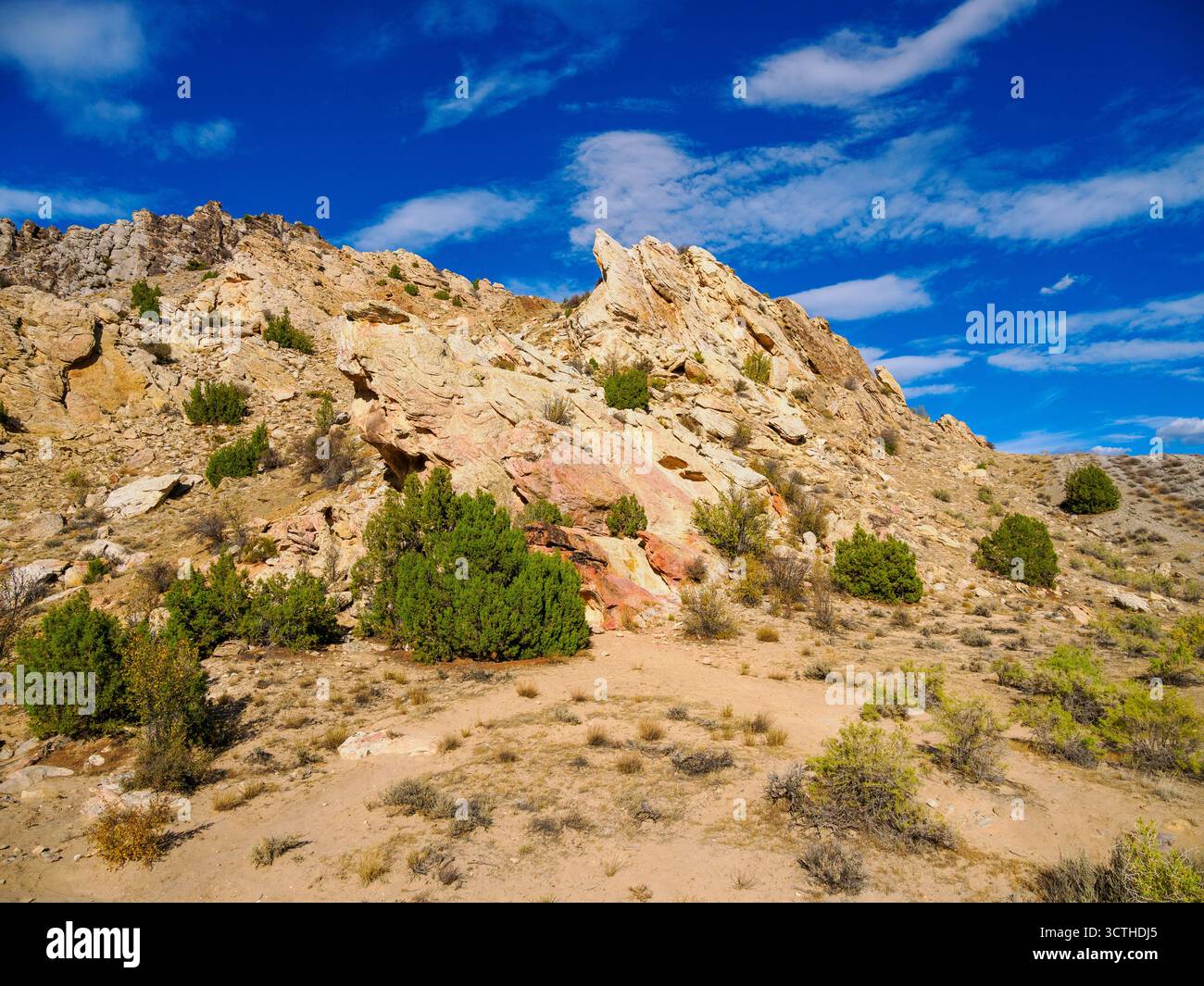 Outside of Carnegie Quarry, Dinosaur National Monument, Utah, USA Stock ...