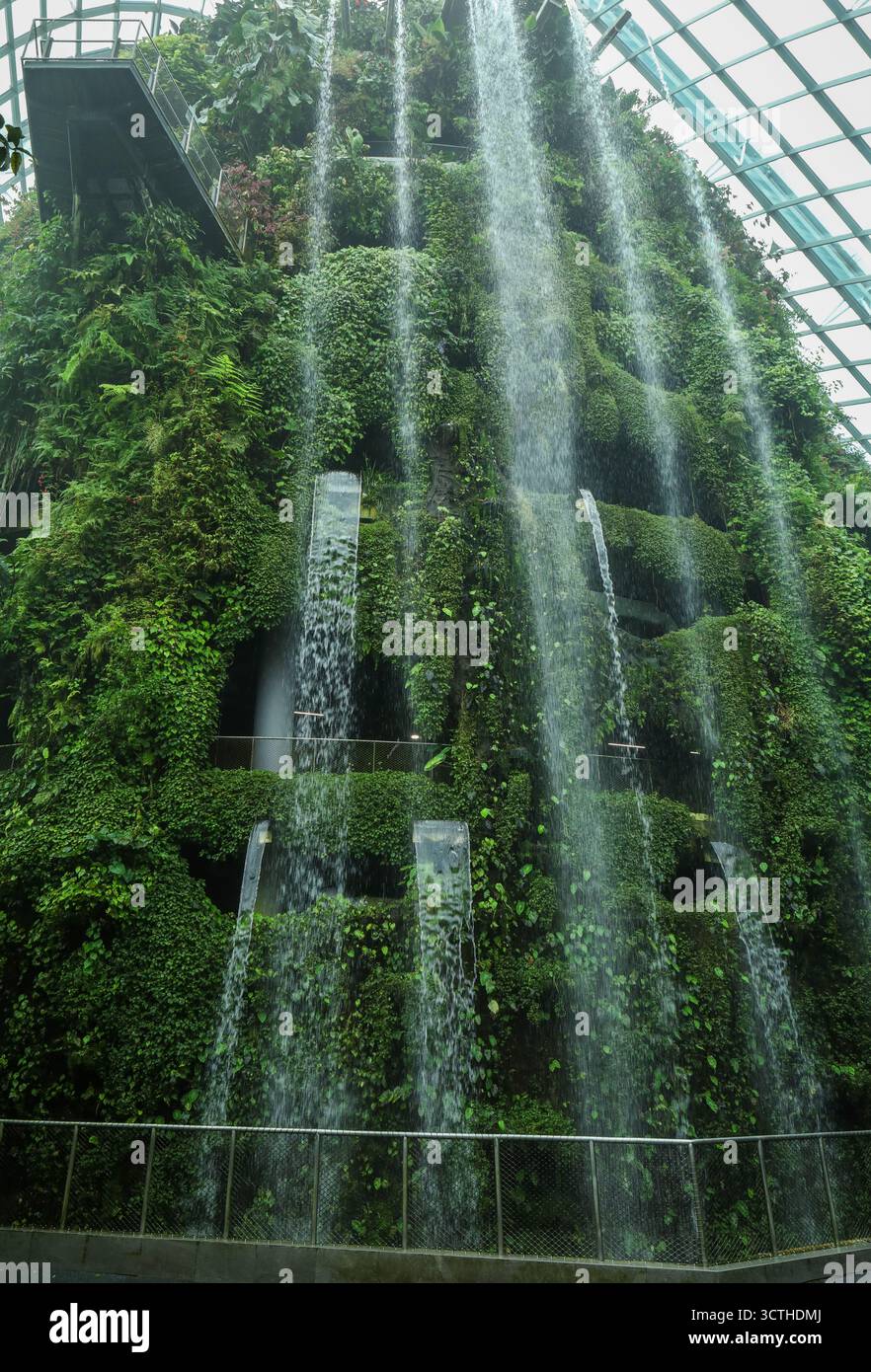 Beautiful water cascade surrounded with green plants in the Cloud ...