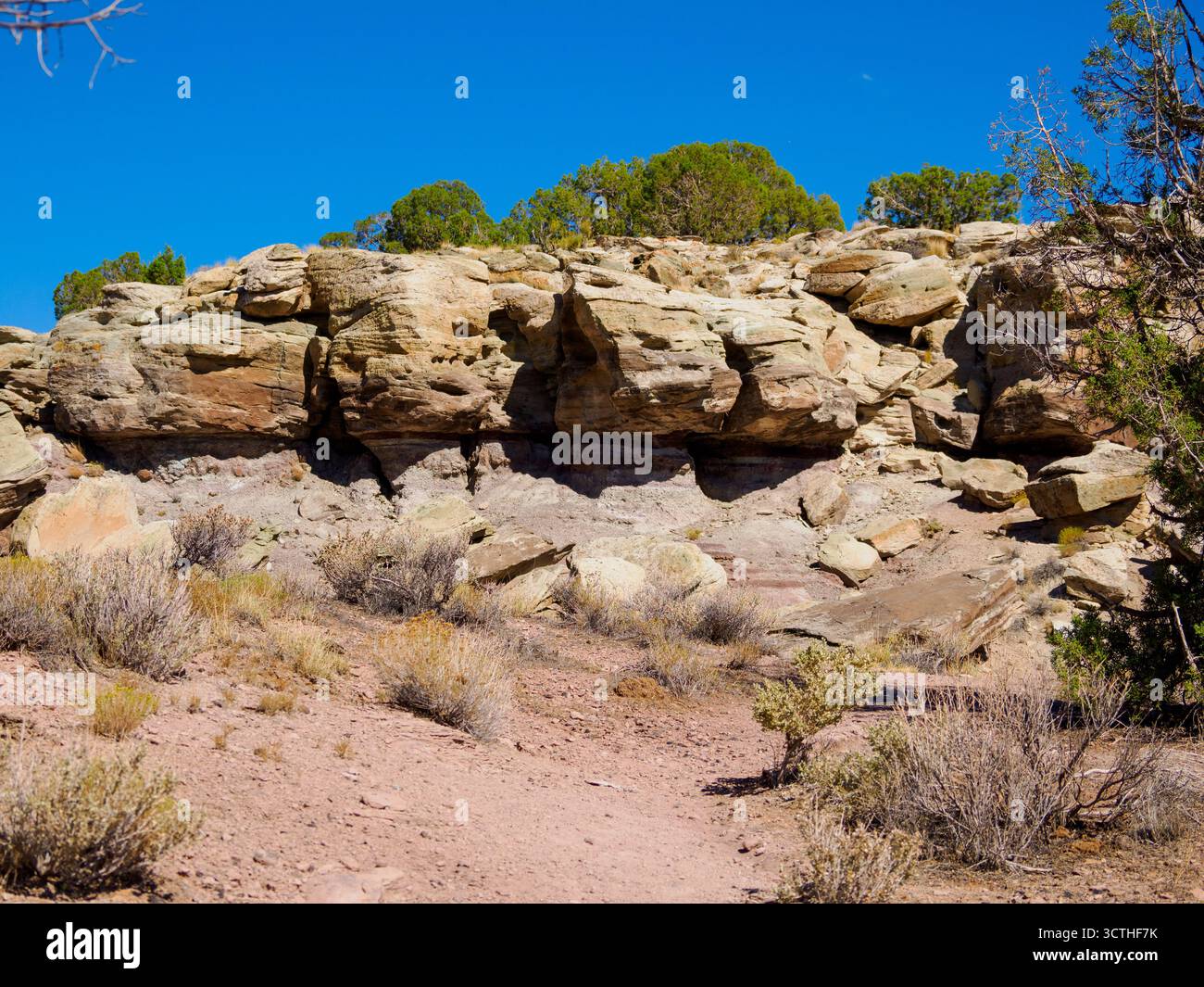 Trail Through Time, Rabbit Valley, Colorado, USA Stock Photo - Alamy