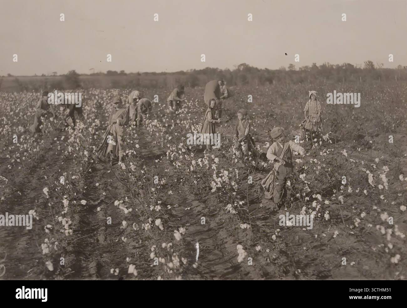 Cotton Pickers - Lewis Wickes Hine (1874-1940 American photographer ...