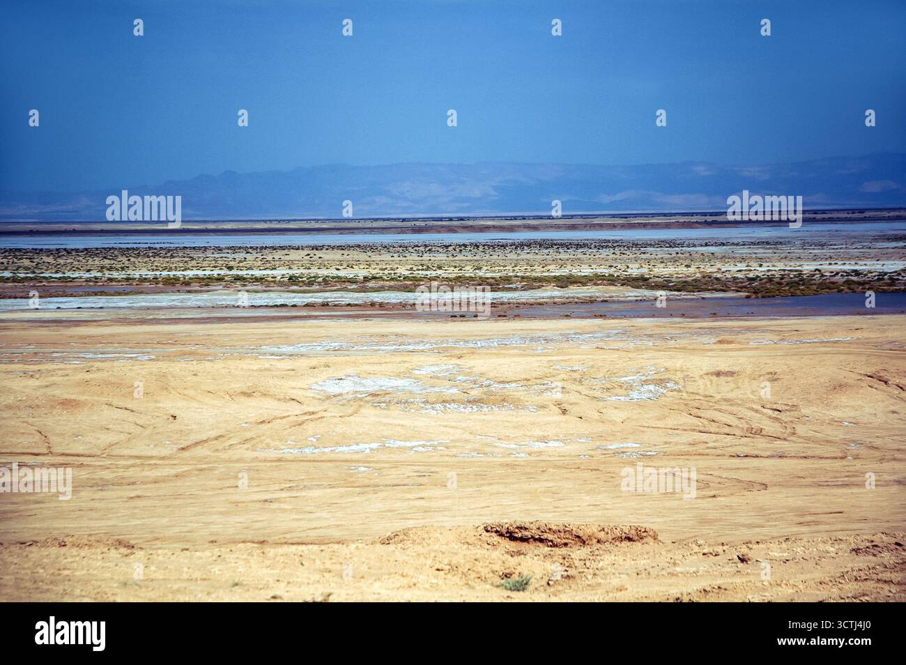Shatt al gharsah hi-res stock photography and images - Alamy
