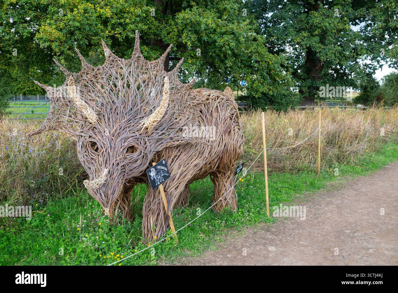 Snug o saurus walk hi-res stock photography and images - Alamy