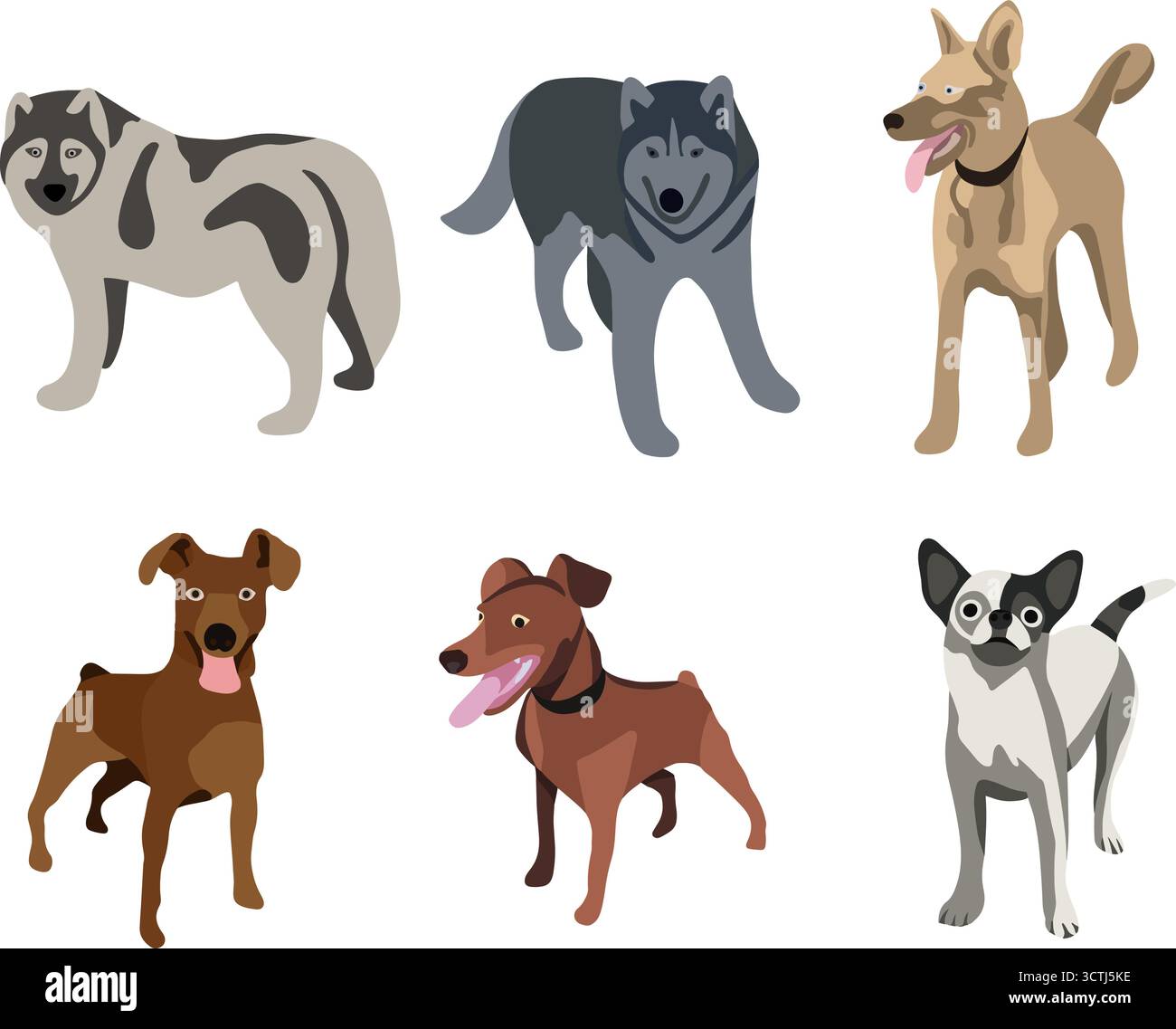 Vector isolated illustration of a set of different dog breeds Stock ...
