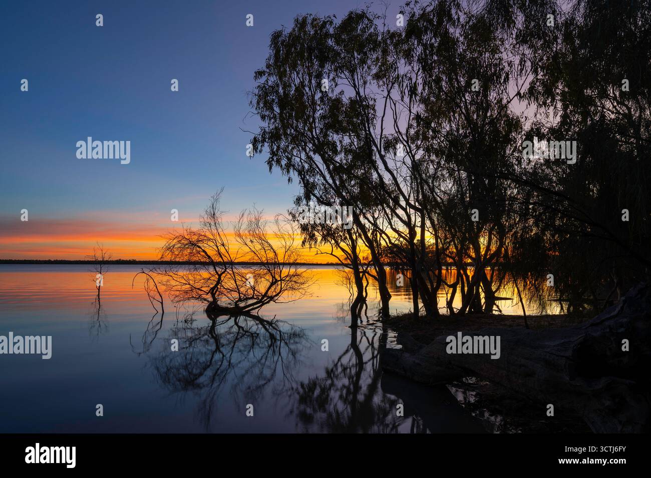 Barcaldine silhouette hi-res stock photography and images - Alamy