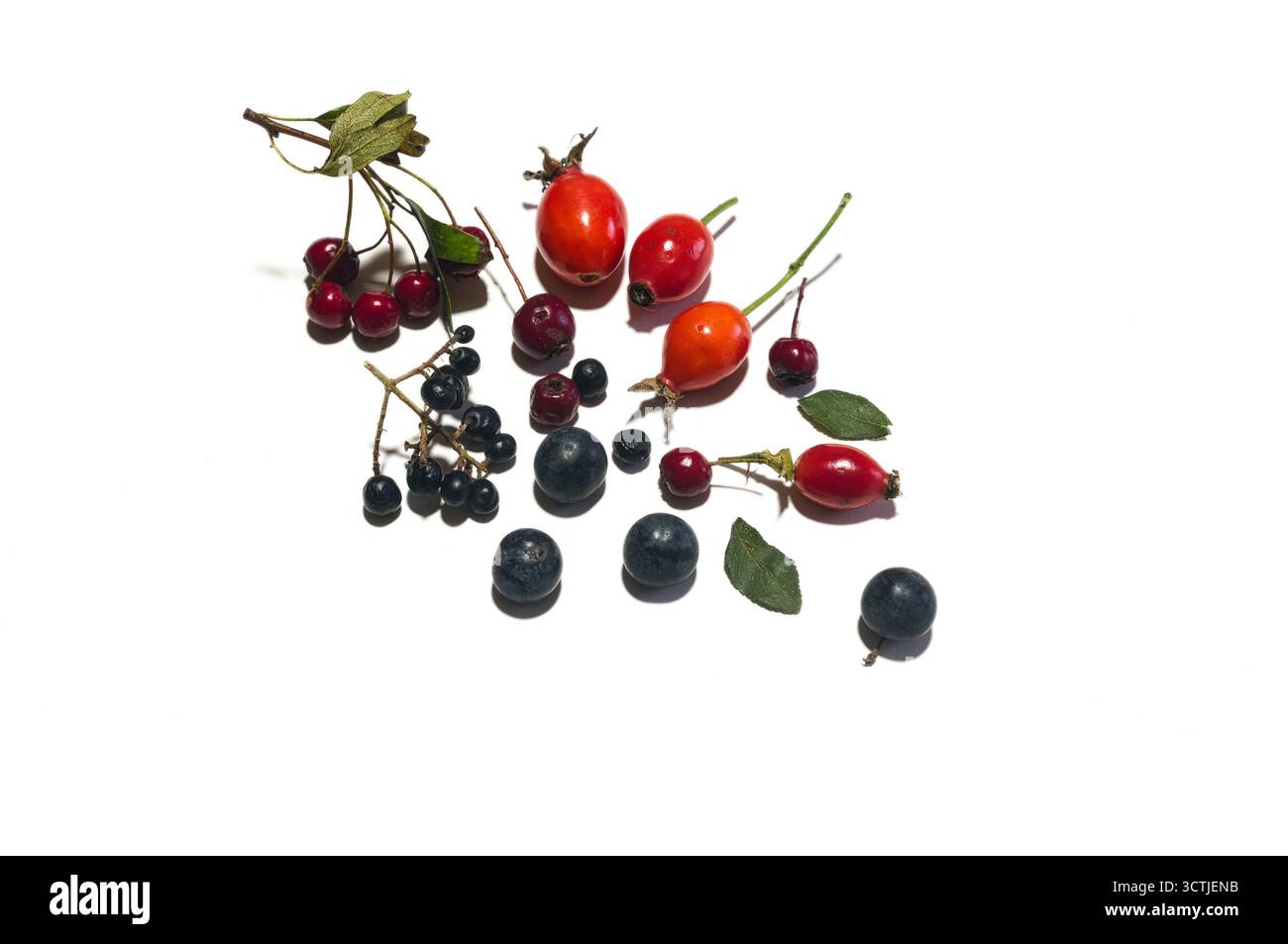 Wild forest fruits Cut Out Stock Images & Pictures - Alamy