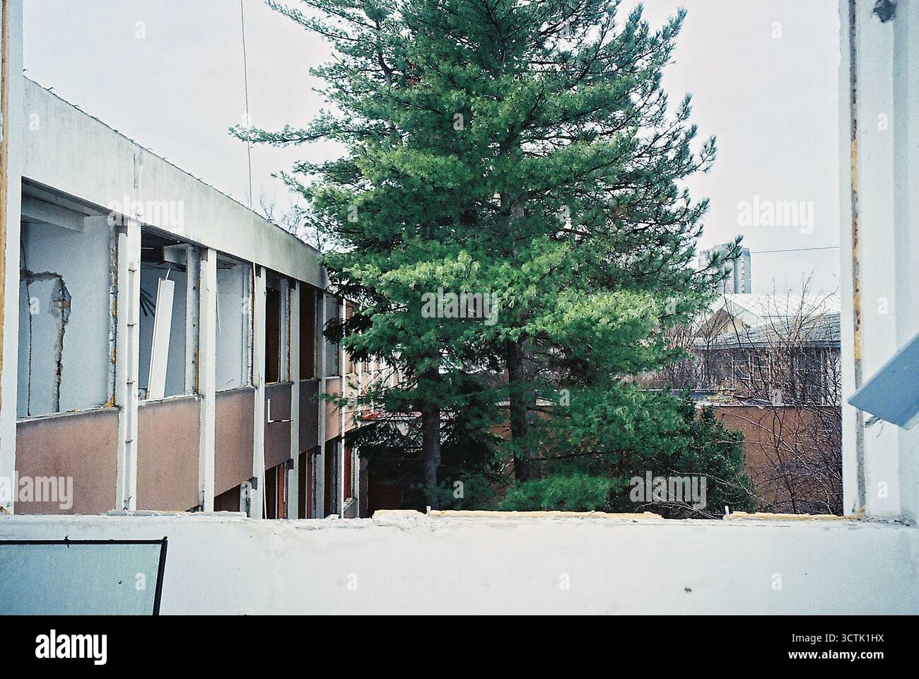 View through a former office during demolition, looking at two tall ...