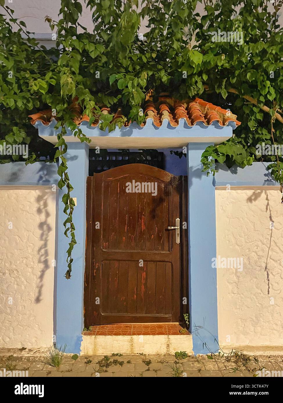 "Wooden door framed in blue with terracotta tiles and greenery in ...