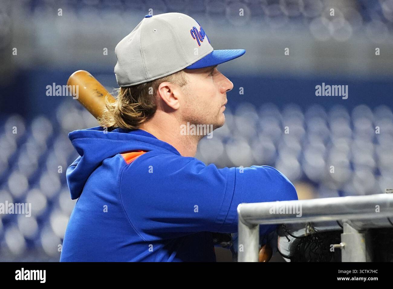 New York Mets' Pete Alonso takes batting practice before a baseball ...