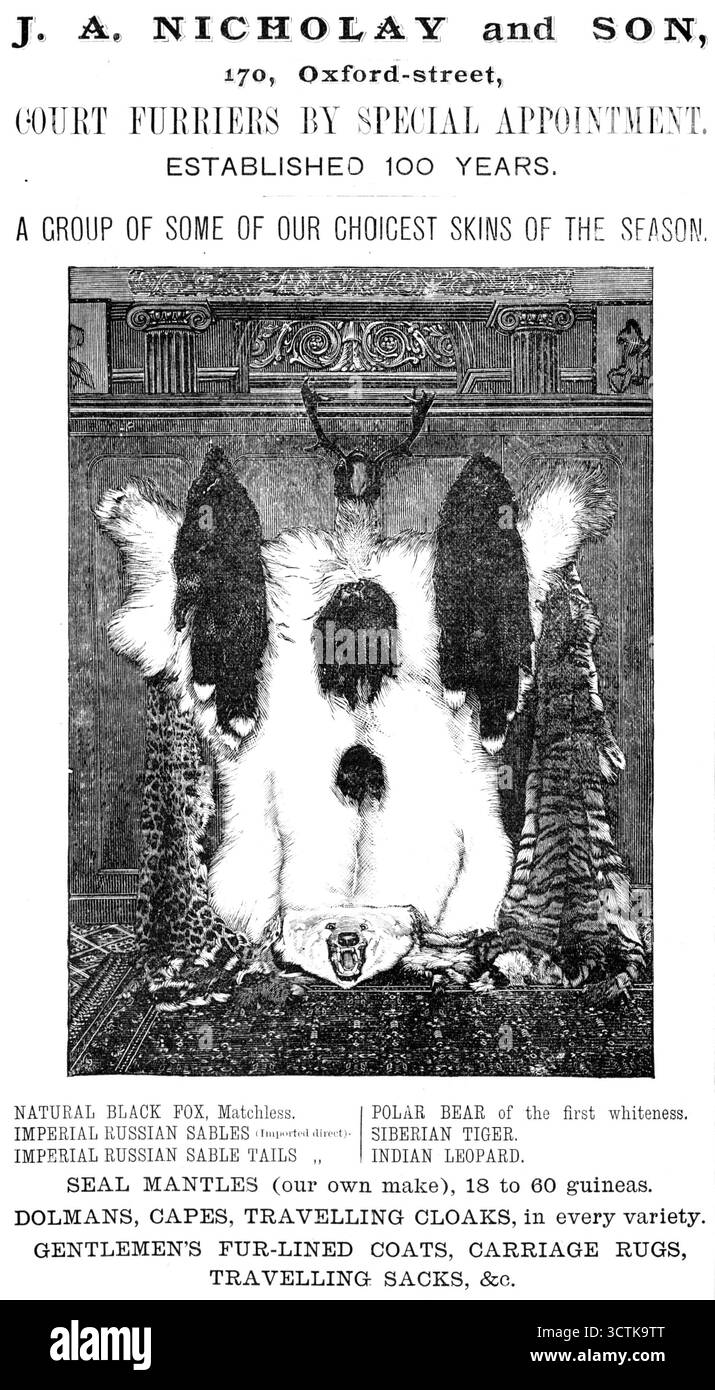 Tiger fur cloak Black and White Stock Photos & Images - Alamy