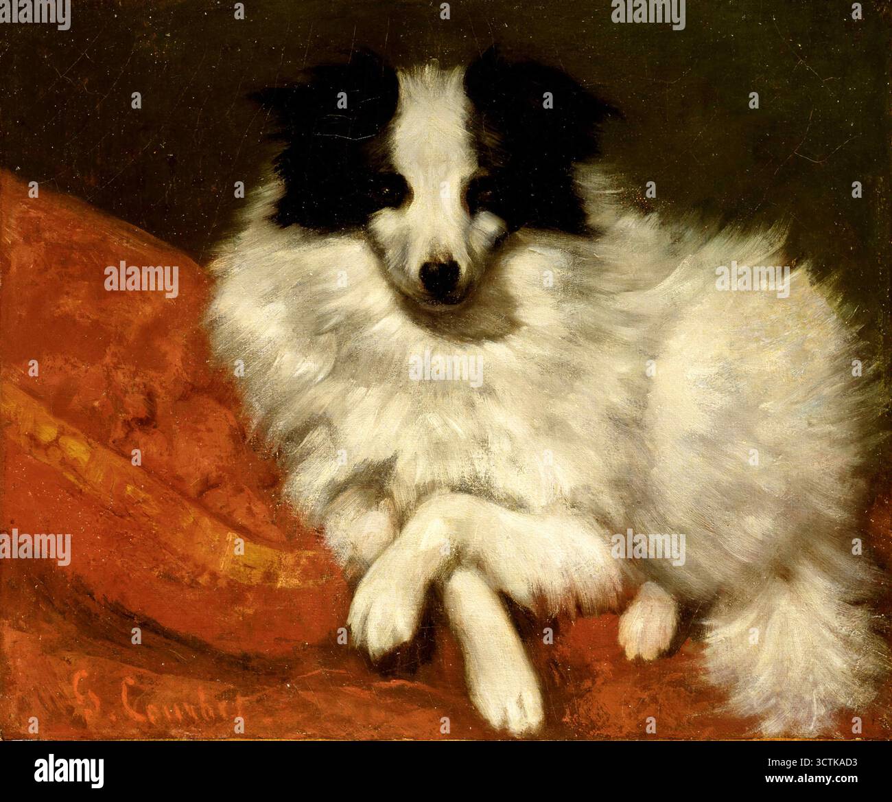 Animals and birdsrealismpainting hi-res stock photography and images ...
