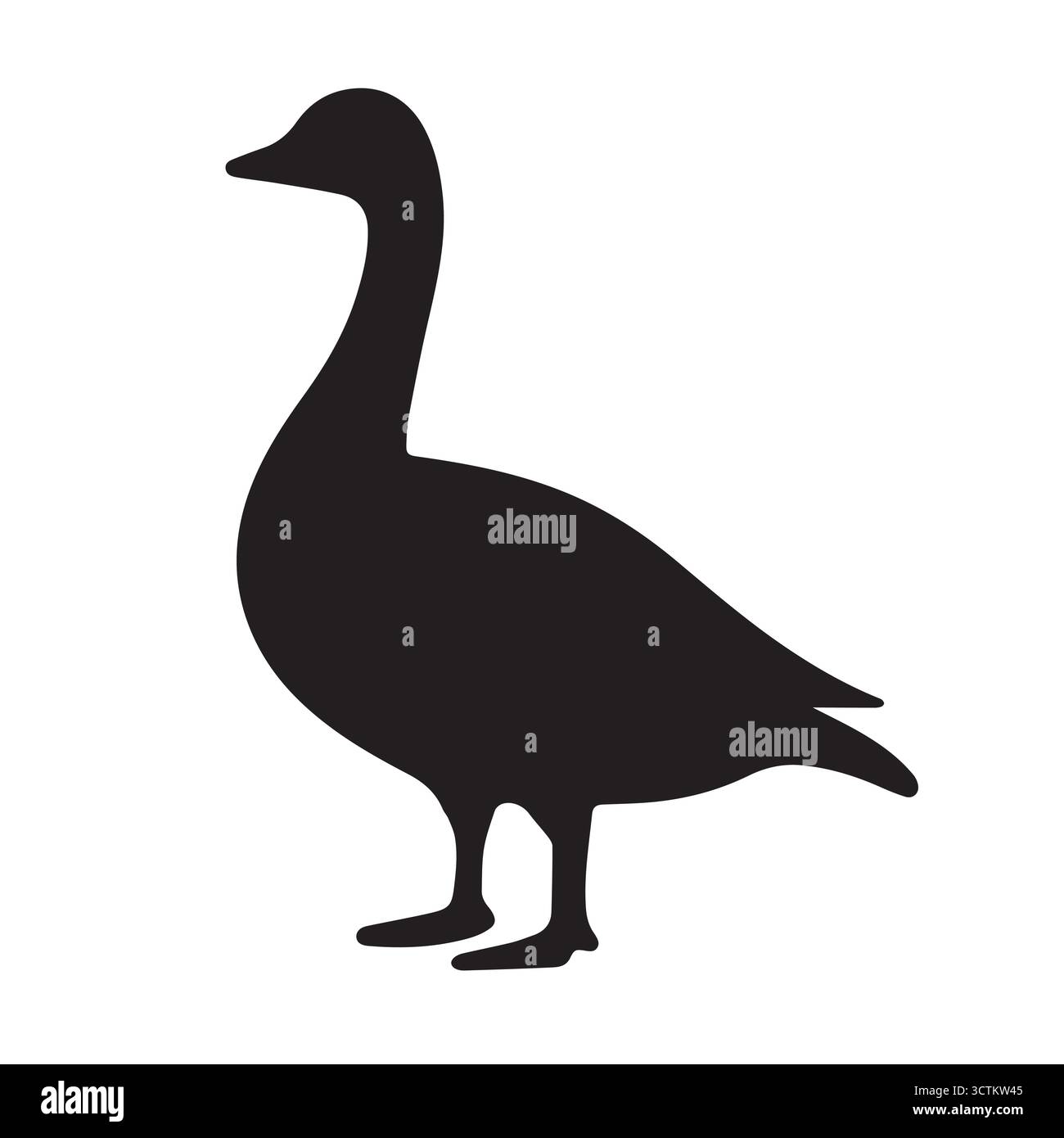 Artistic bird vector art Stock Vector Images - Alamy