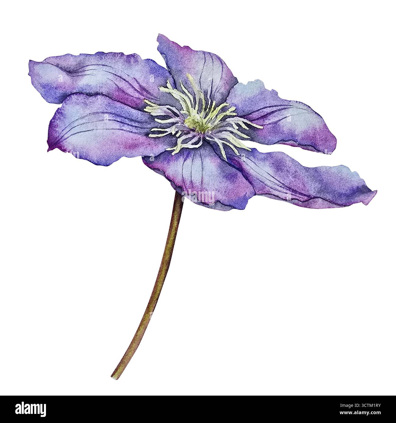 Botanical precision Cut Out Stock Images & Pictures - Alamy