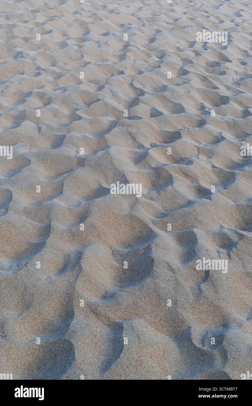 Wind-etched ripples in Mesquite Flat Dunes capturing surface detail and ...