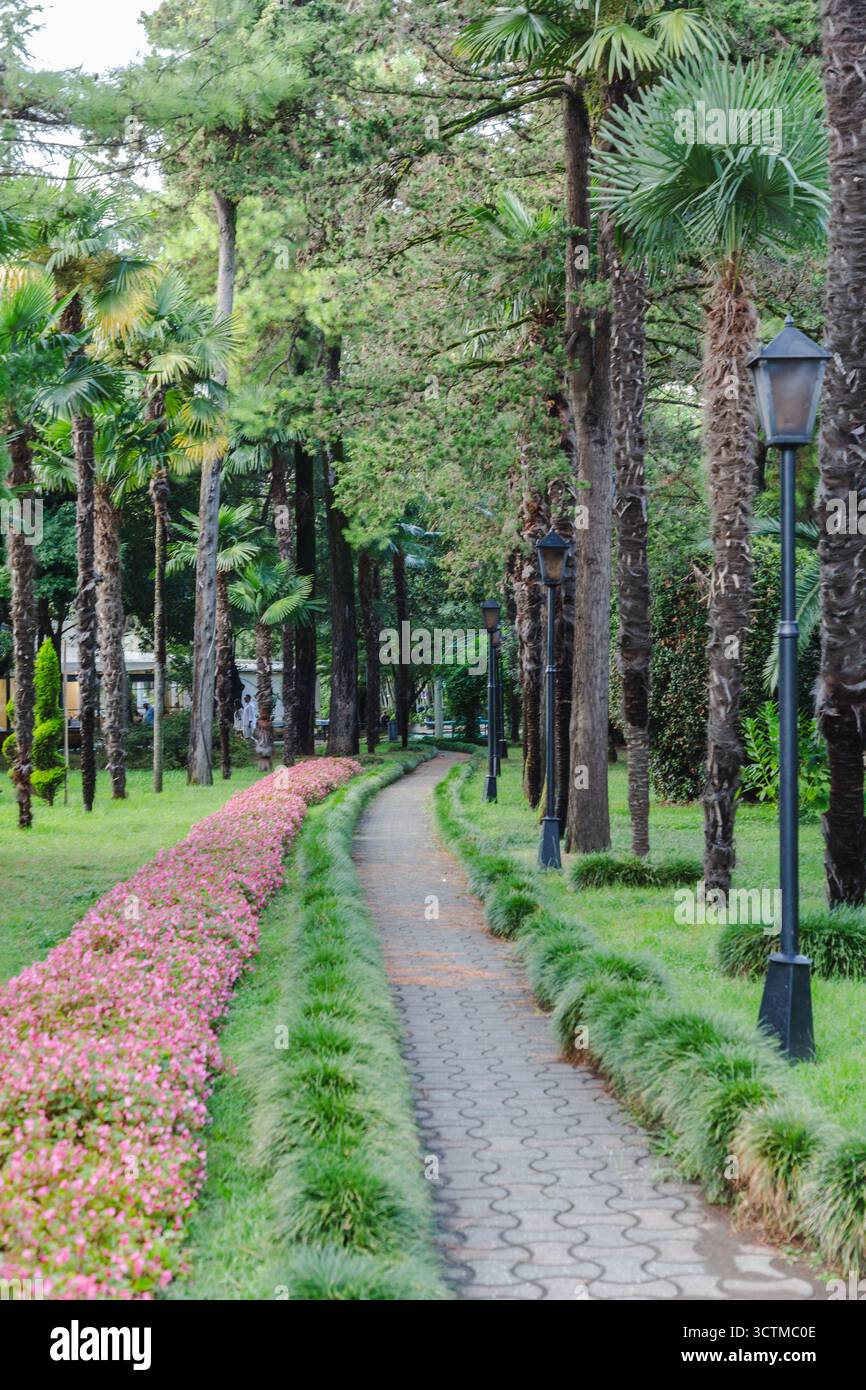 Batumi green space hi-res stock photography and images - Alamy
