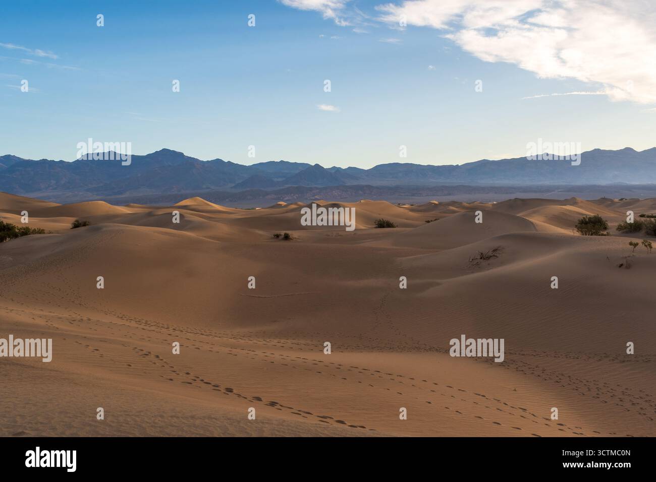 Ephemeral desert markings hi-res stock photography and images - Alamy