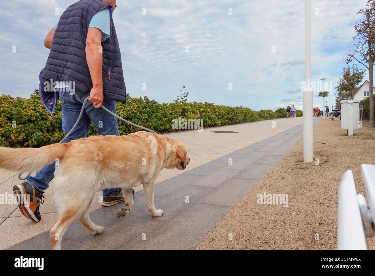 Spaziergang mit Hund - hier gesehen am 19.09.2025 auf der ...
