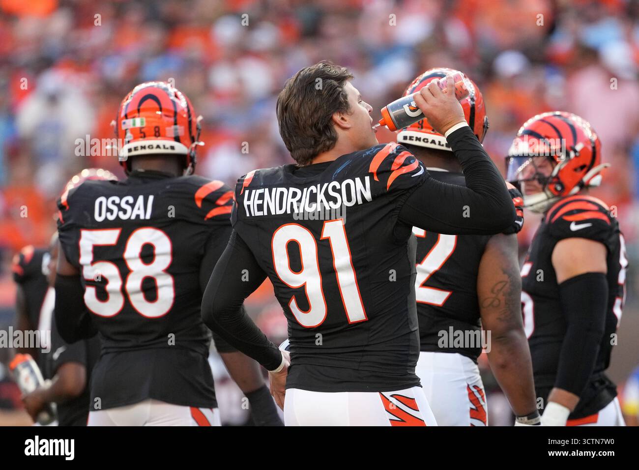Cincinnati Bengals defensive end Trey Hendrickson (91) drinks from a ...