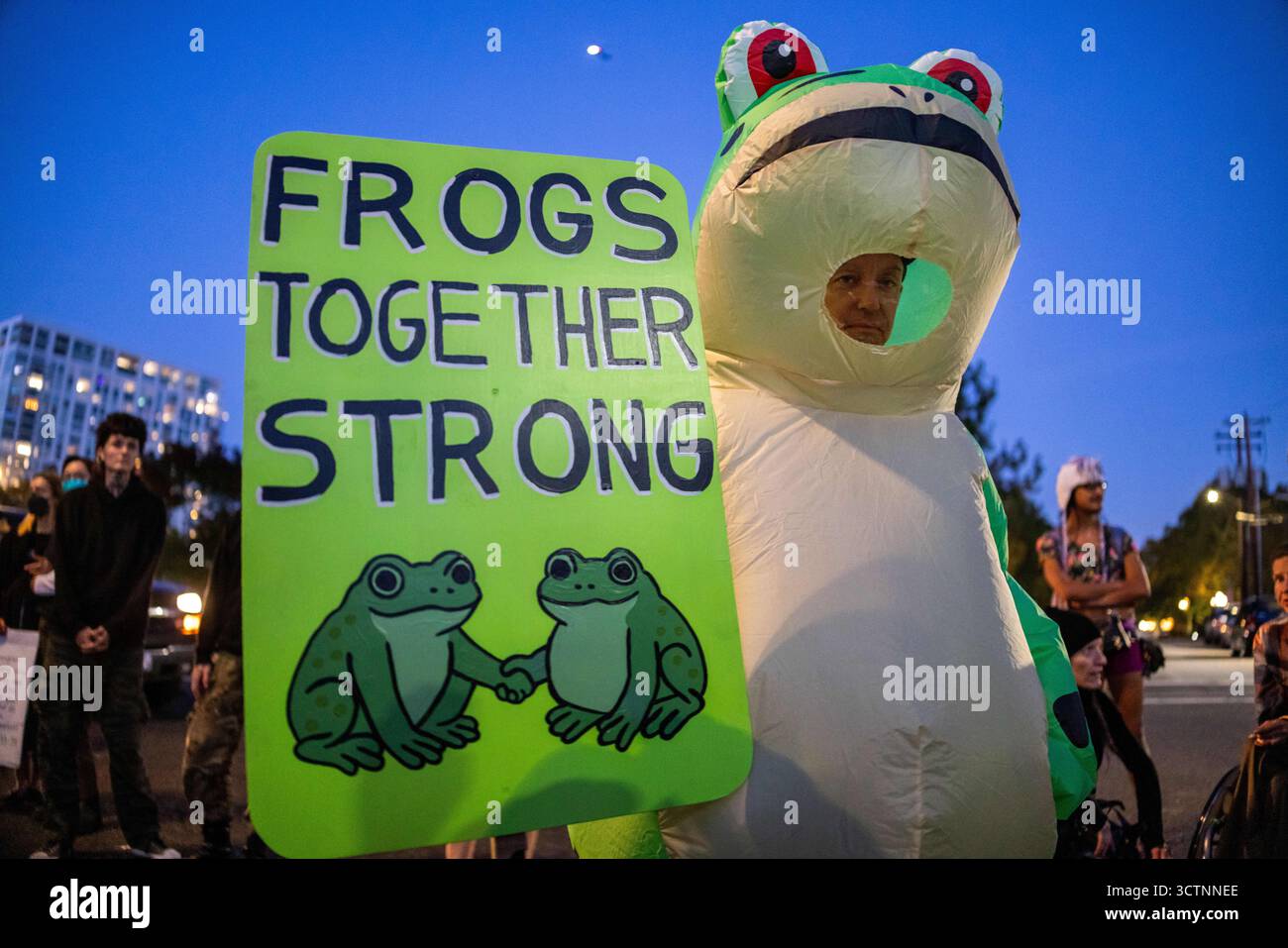A demonstrator wearing a frog costume stands outside a U.S. Immigration ...
