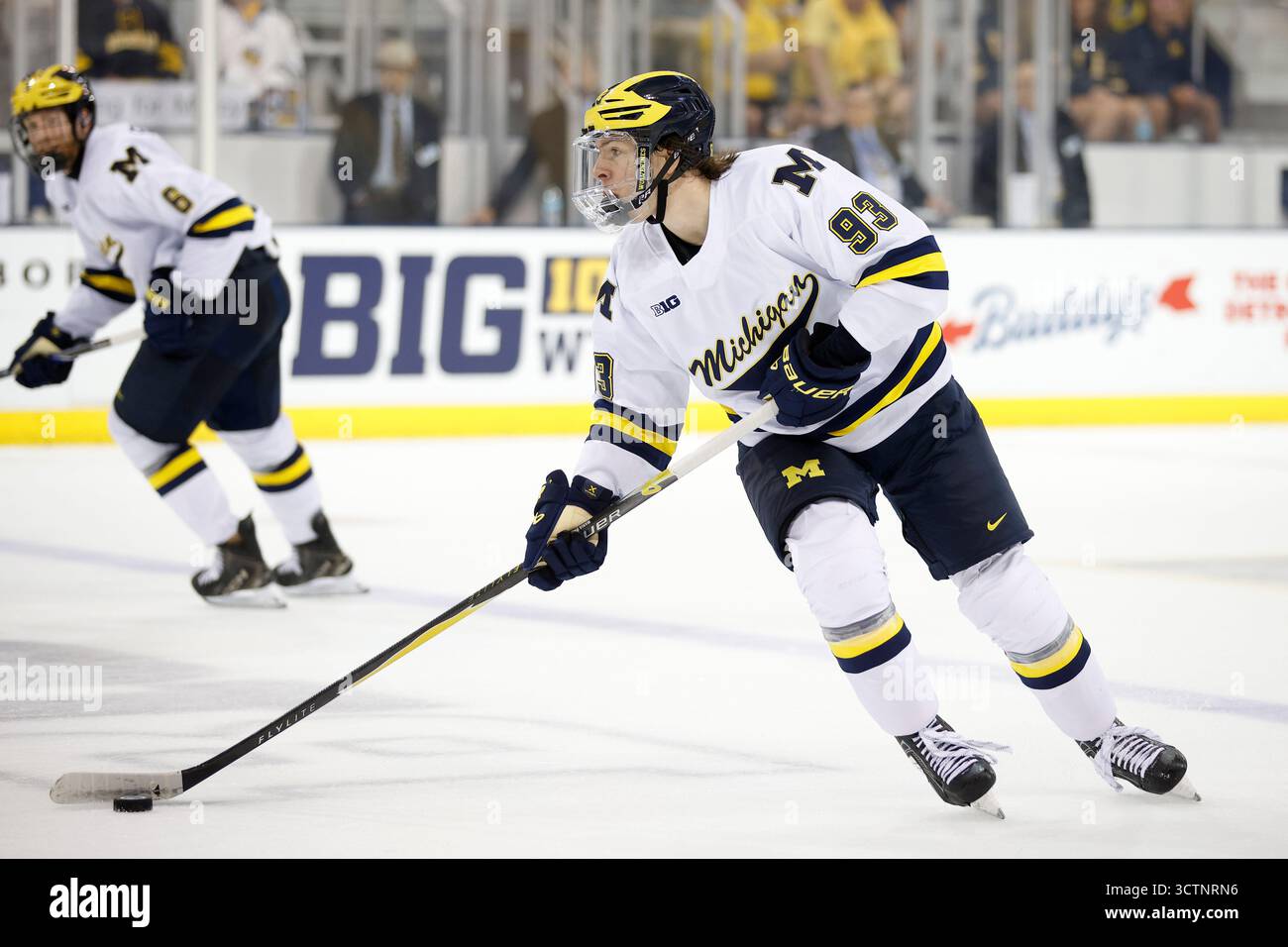Michigan's Matthew Mania plays during an NCAA hockey game on Saturday ...
