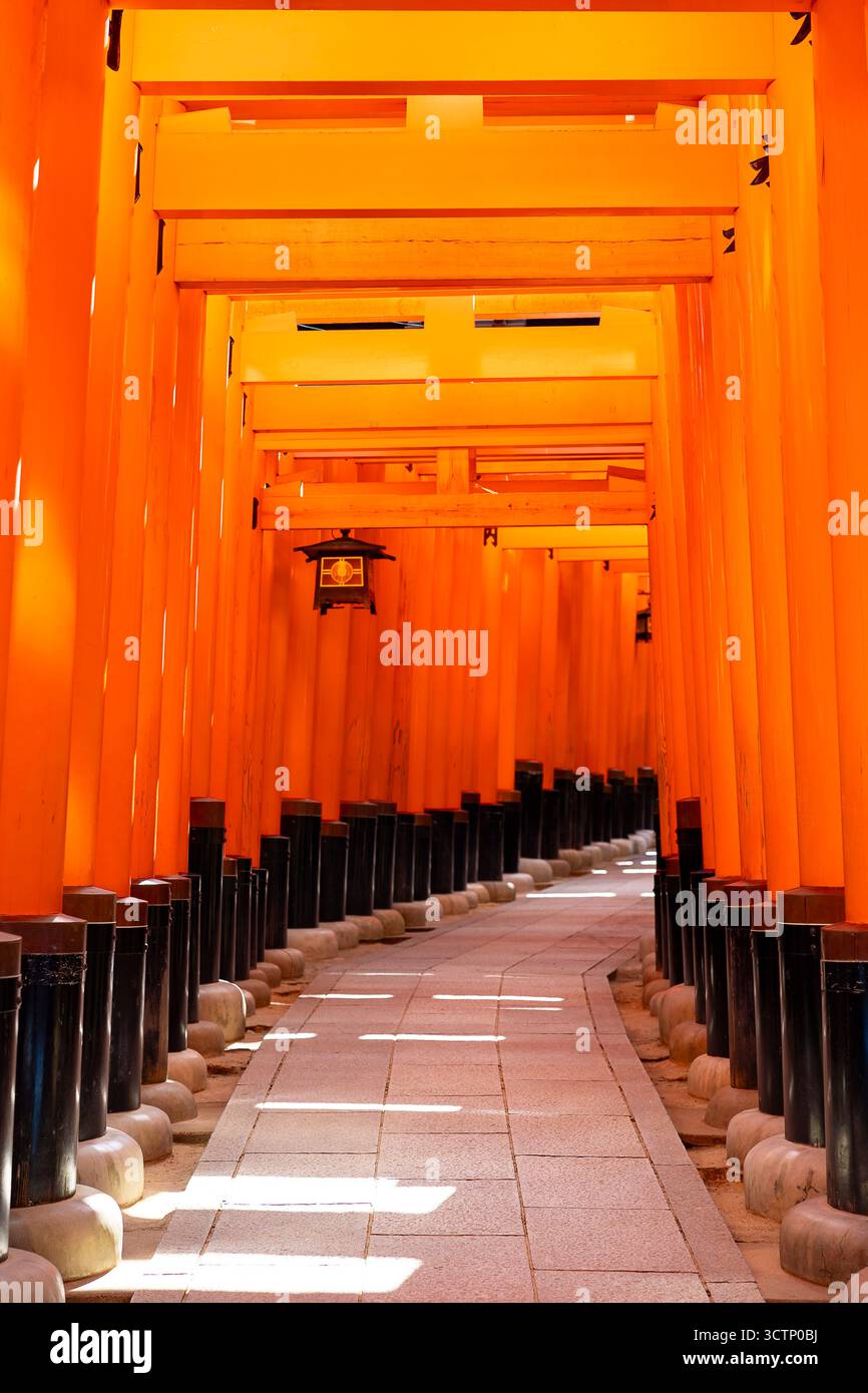 Shrine pathway view hi-res stock photography and images - Alamy
