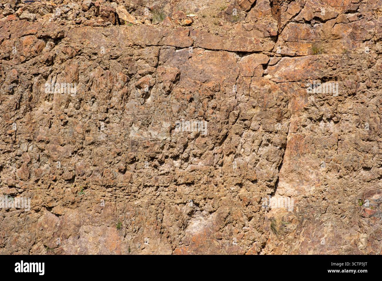 Textured rock surface with geological patterns. Showcasing textures and ...