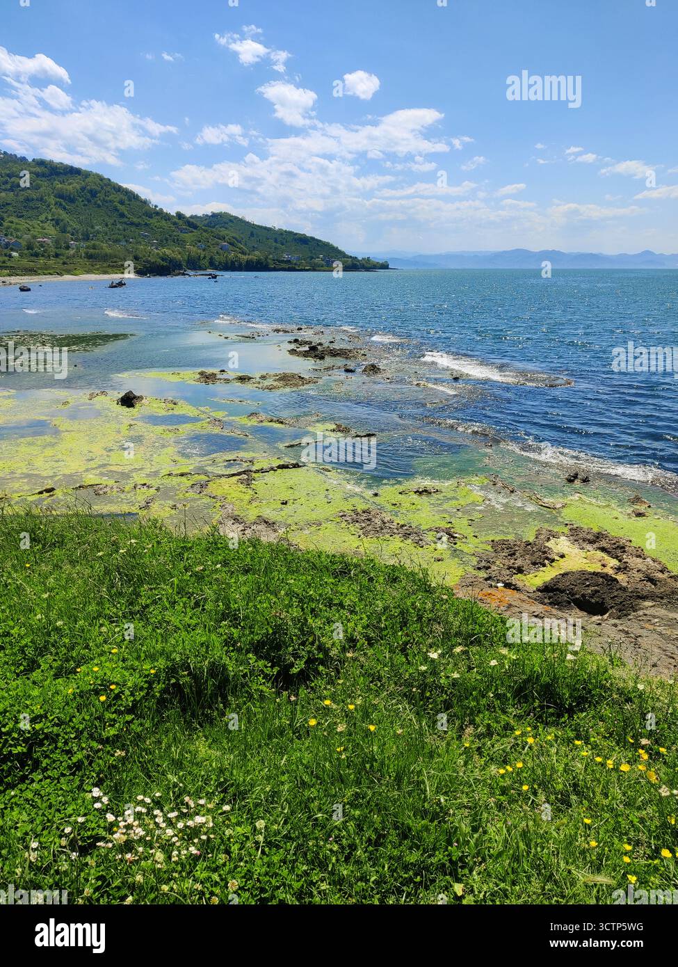 Captivating view of a rocky shoreline adorned with patches of green ...