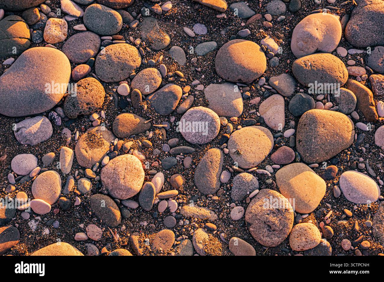 Close-up of smooth beach pebbles in warm sunset light. The natural ...