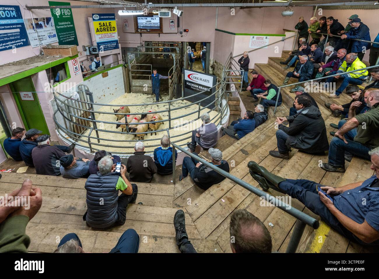 Farming indistry hi-res stock photography and images - Alamy
