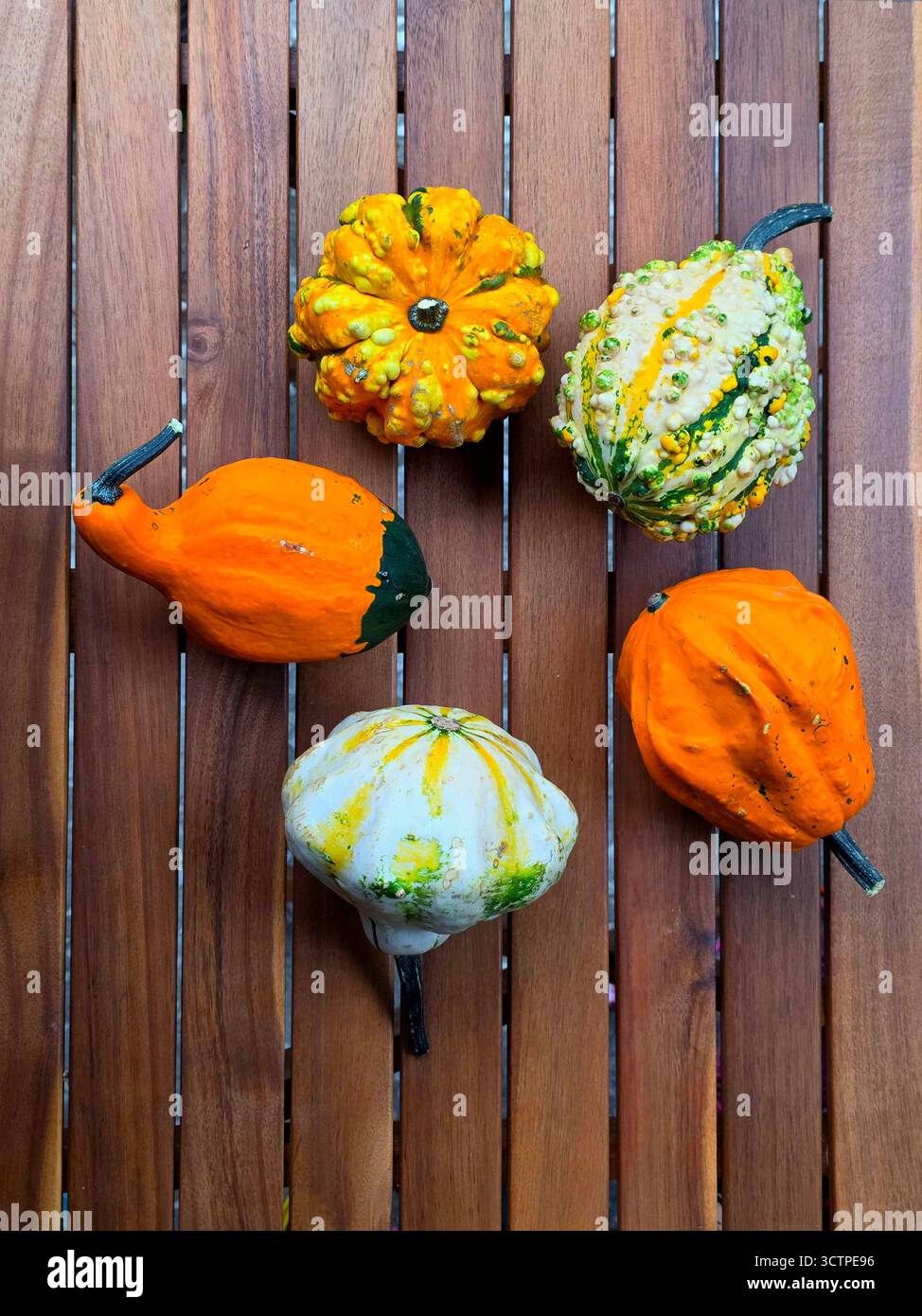 A collection of five ornamental gourds in different shapes, colors, and ...