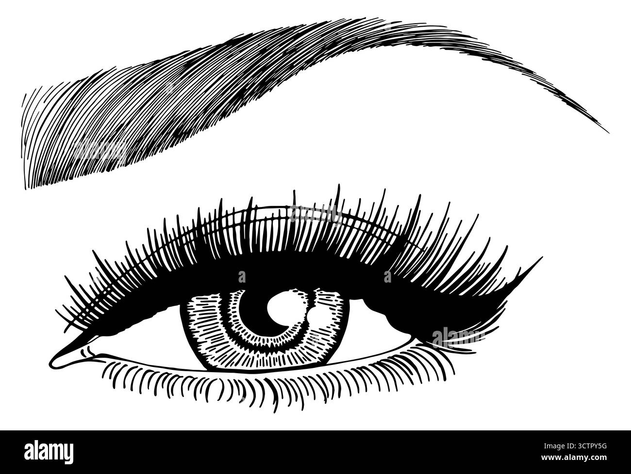 Realistic eyebrow stroke Cut Out Stock Images & Pictures - Alamy