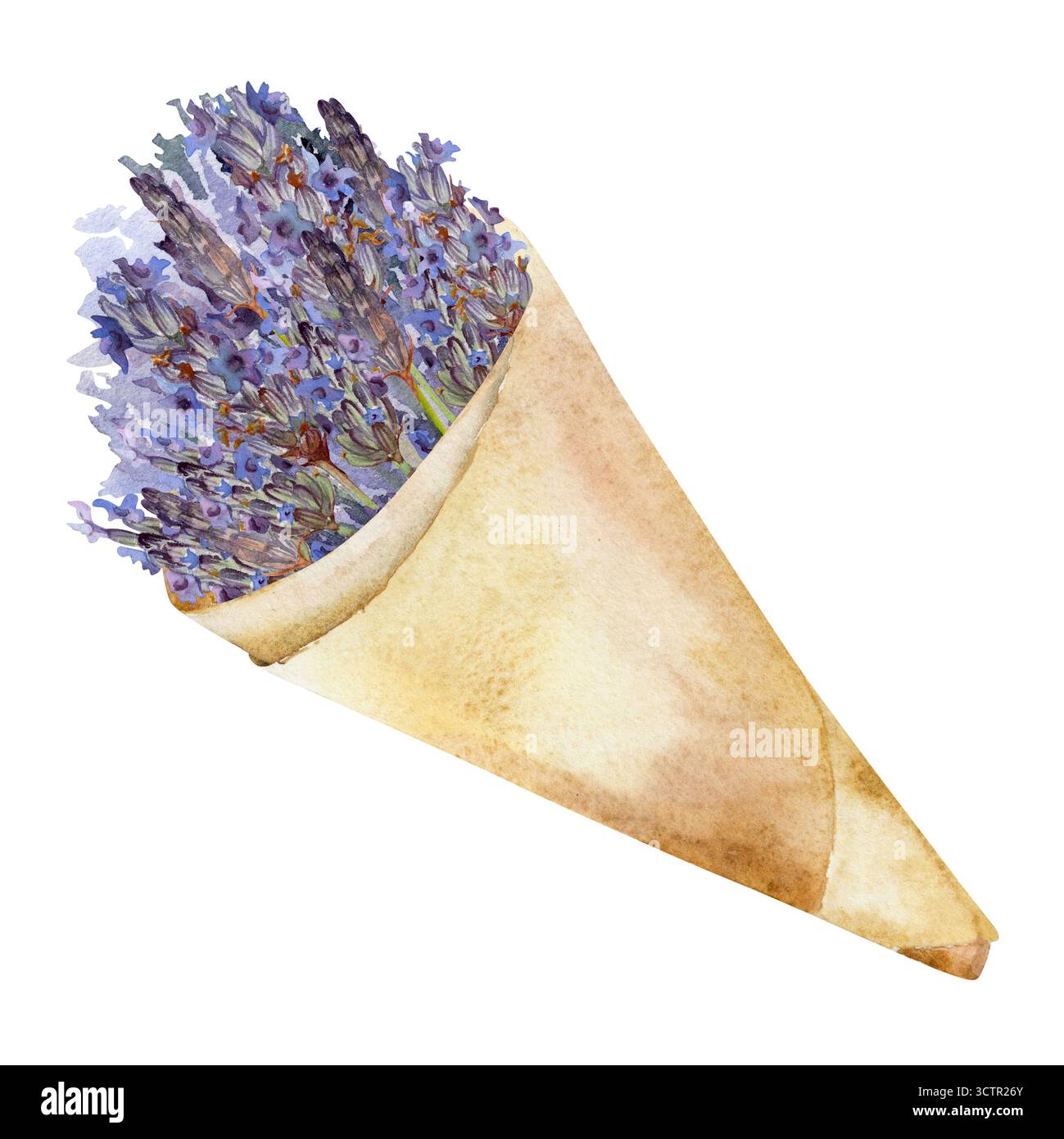 Lavender lavandula flowers bundle bouquet in craft paper cone hand ...